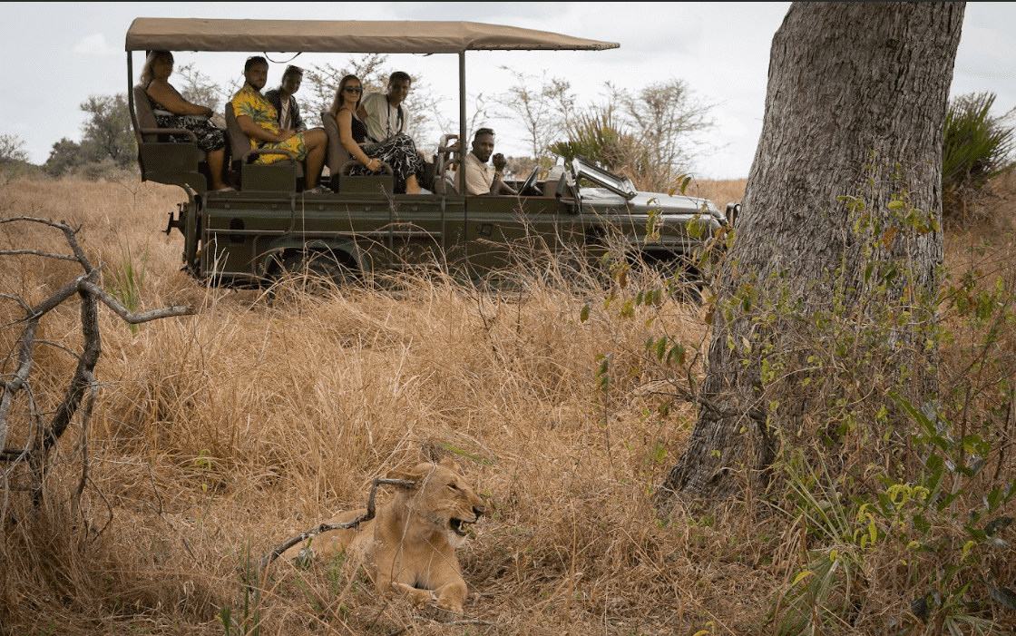 Safari Tours | Uwanda Tours & Safaris | Unforgettable Safari Adventures